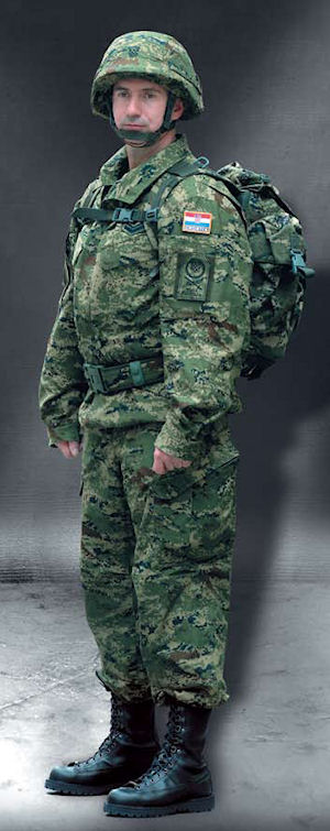 The Army The Army Uniform